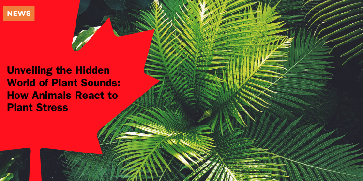 Unveiling the Hidden World of Plant Sounds: How Animals React to Plant ...